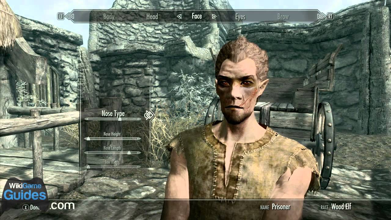 Bosmer Skyrim
