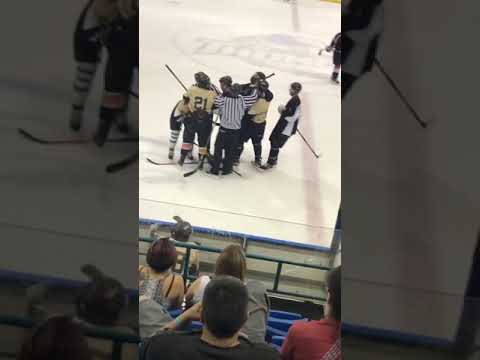 Beer League Hockey Fight Youtube