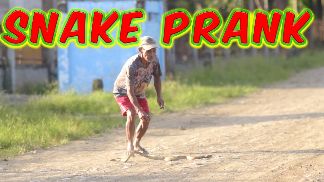 Snake Prank Youtube