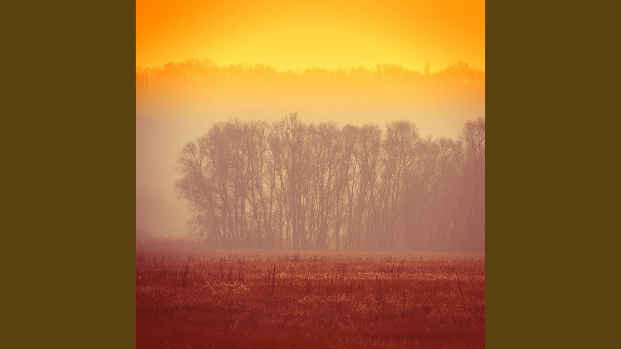 Advisor Monthly Youtube