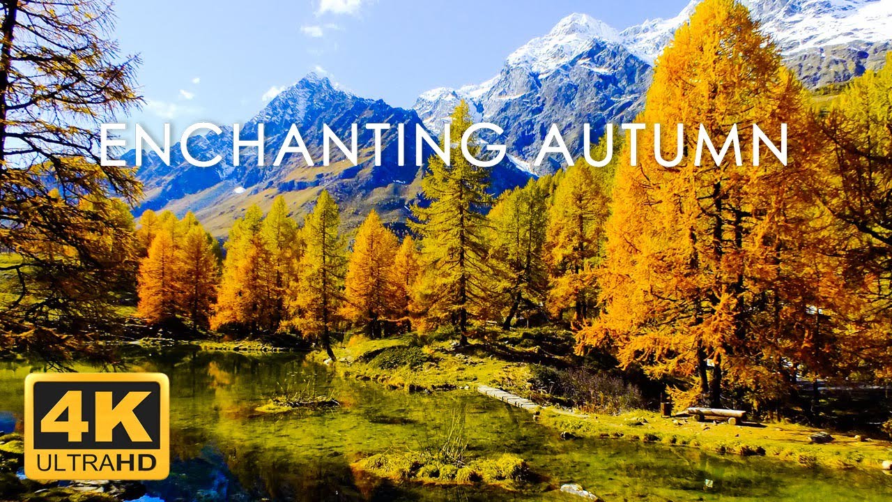 11 Hrs Incredible Fall Foliage Best 4k Autumn Nature Scenes From