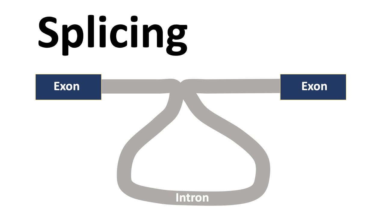 Splicing Youtube