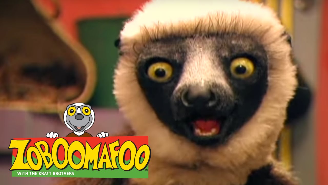 Water Creatures Zoboomafoo At Barbara Moser Blog