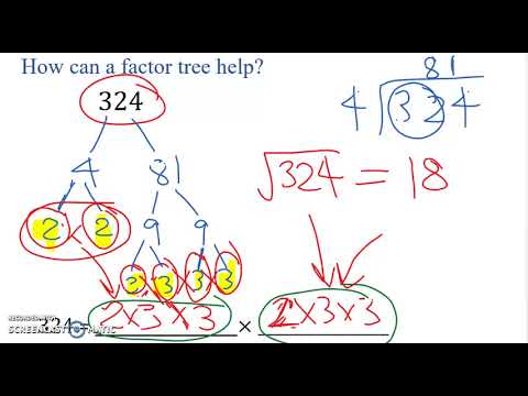 Using A Factor Tree To Find The Square Root Of A Number Youtube