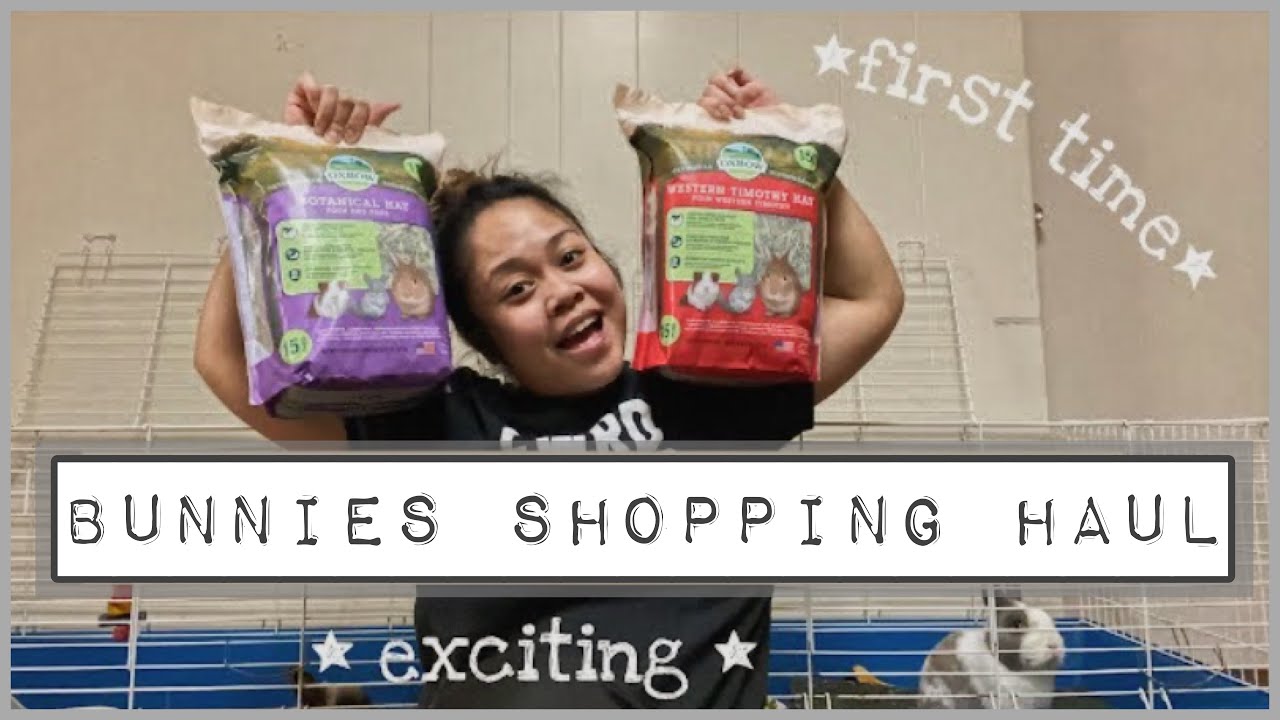 Bunnies Shopping Haul рџђ At Petsmart Itsjenath Youtube