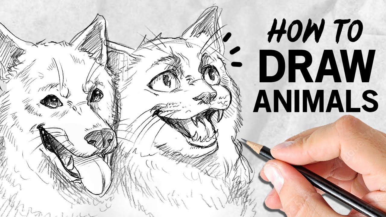 How To Draw Realistic Animals Step By Step For Beginners 113 Thousand
