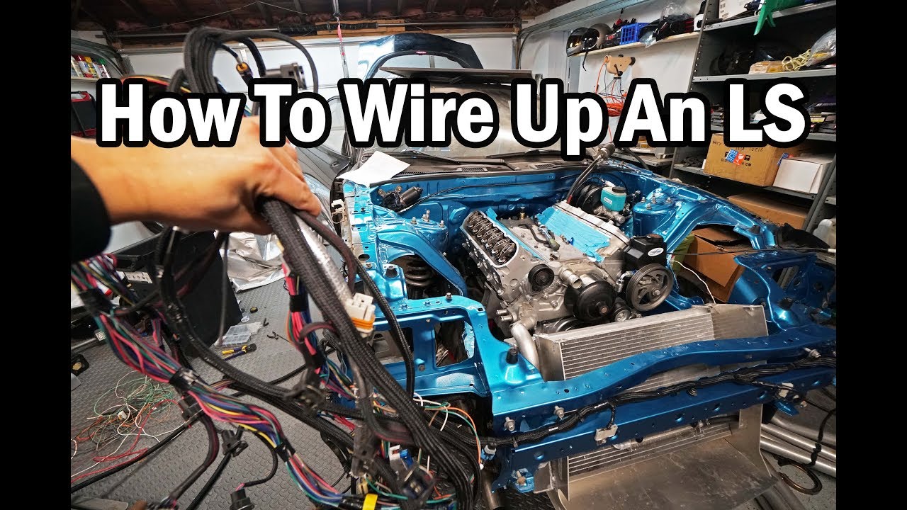 How To Wire Up An Ls Engine Ls Harness Explained Fd Rx7 Race Car