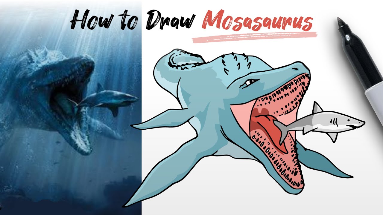 How To Draw A Mosasaurus Mosasaurs 101 National Geographic