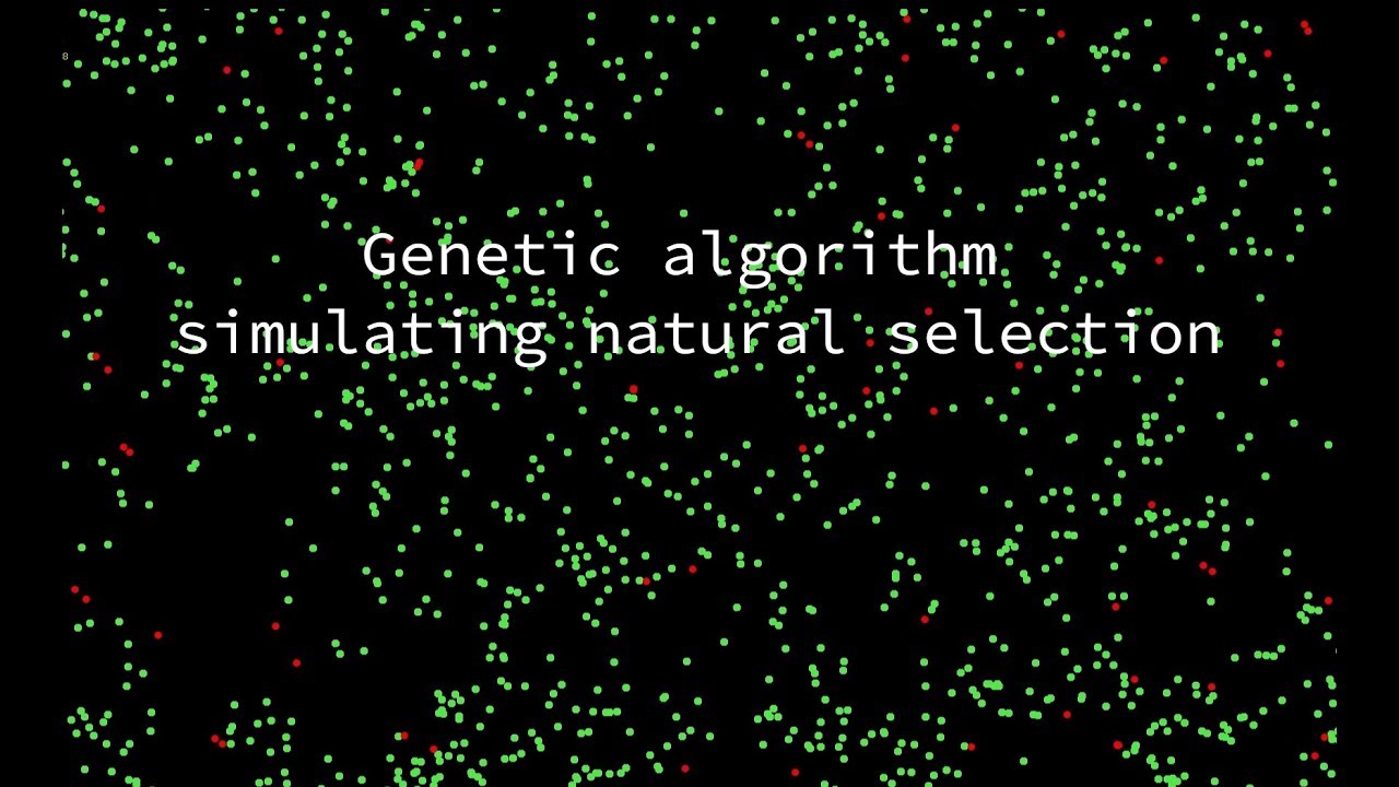 Genetic Algorithm Simulating Natural Selection Youtube