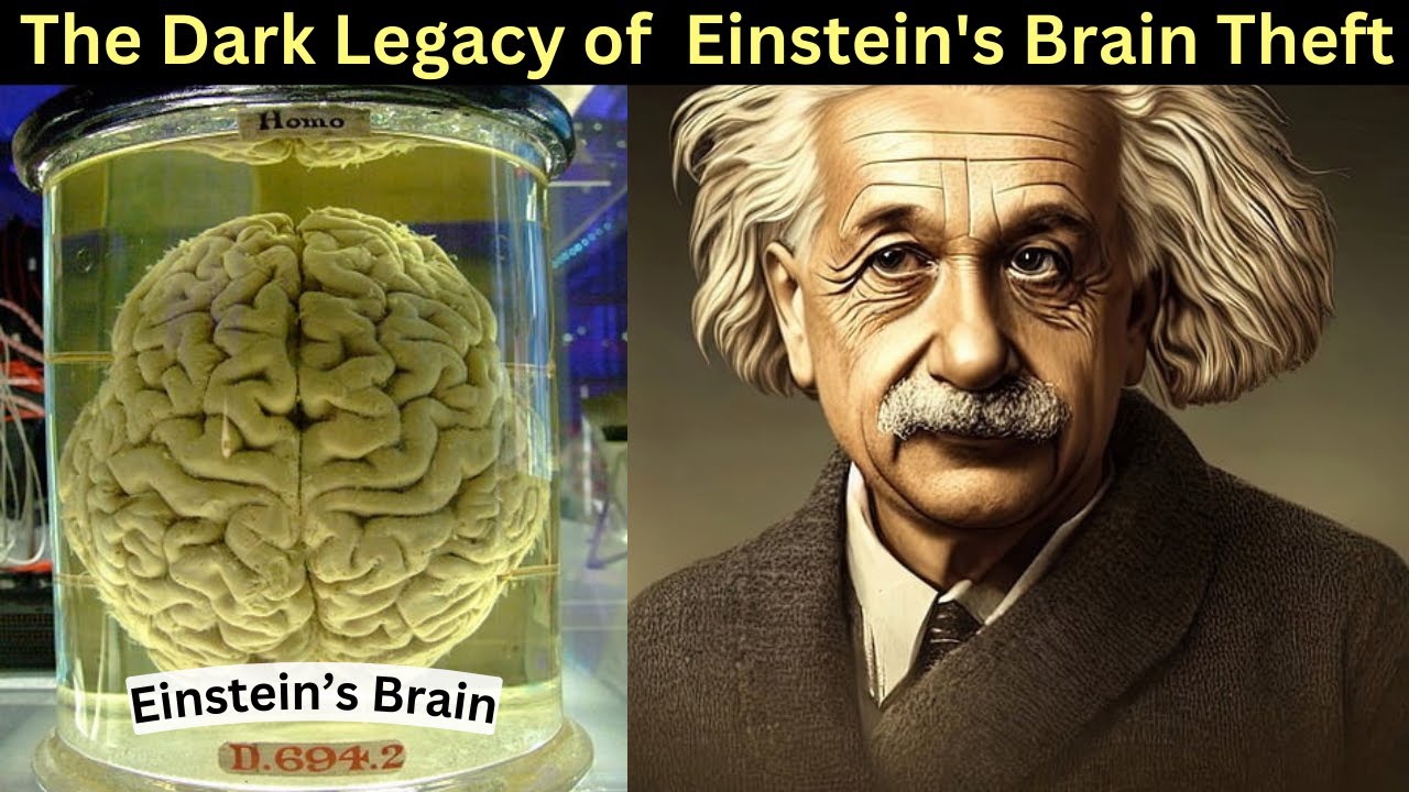 How Einstein S Stolen Brain Changed History Forever Youtube