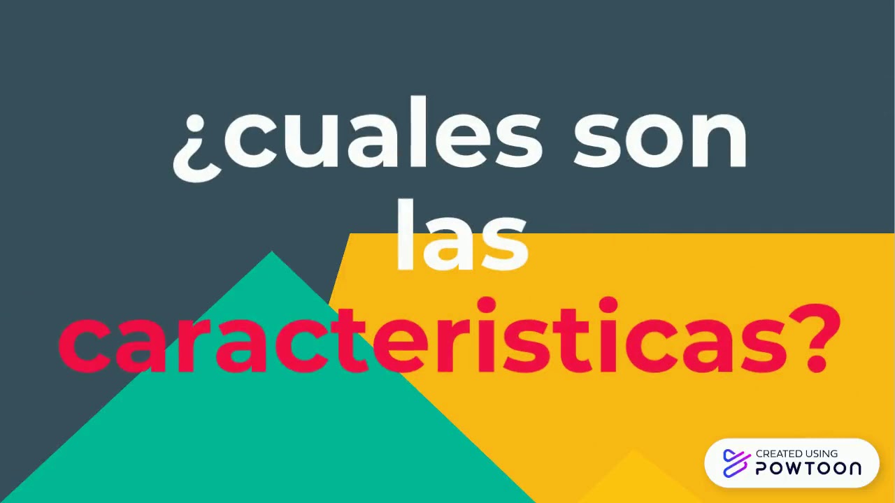 Caracteristicas Youtube