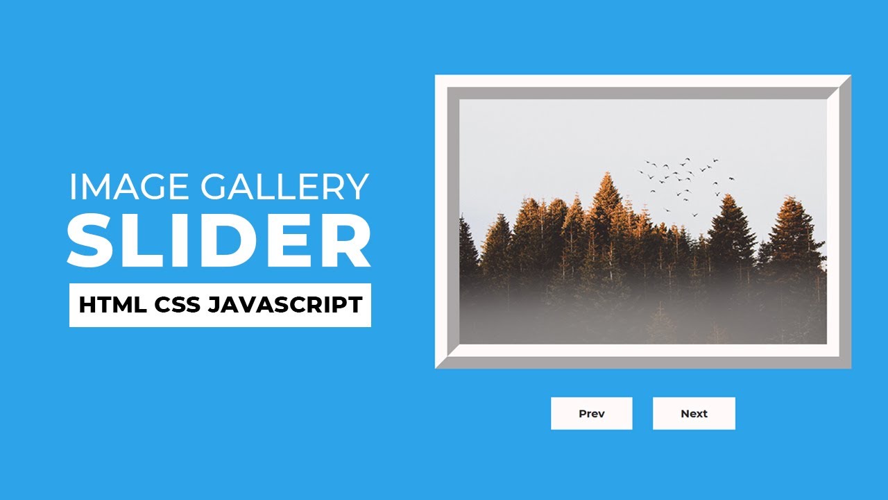 Javascript Image Slider With Next Previous Button Simple Javascript