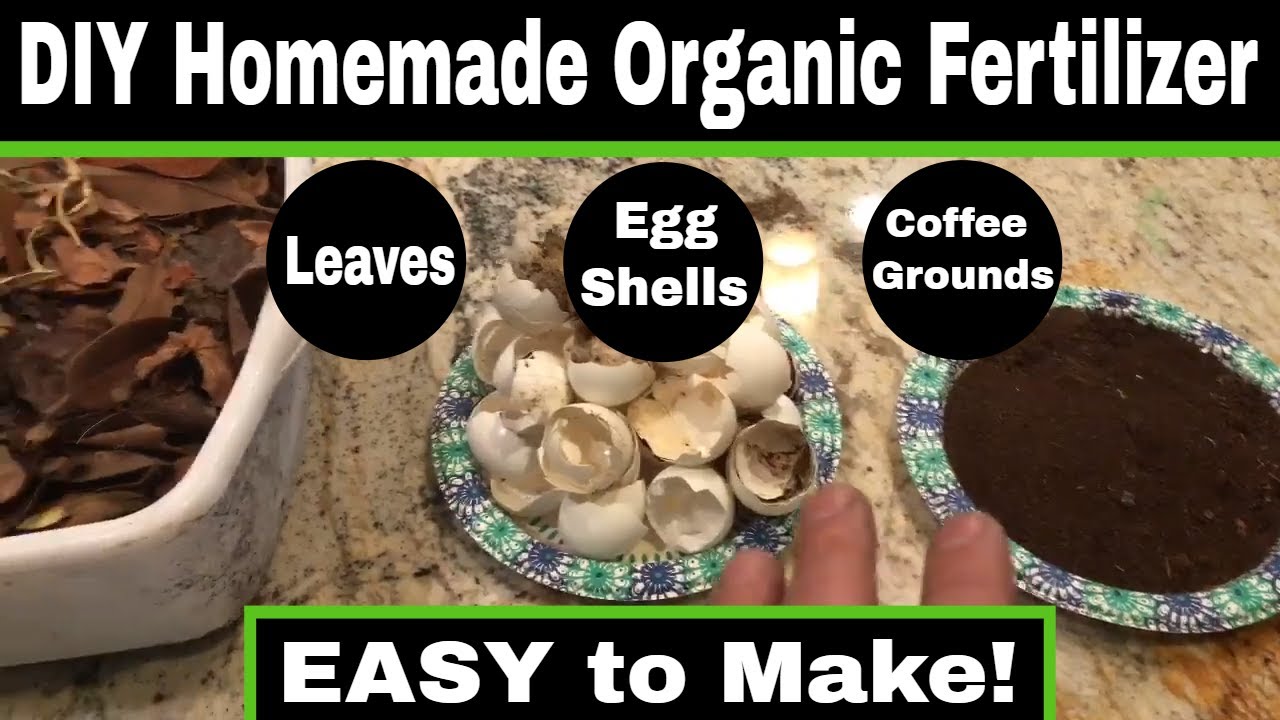 Easy Diy Homemade Organic Garden Fertilizer Youtube