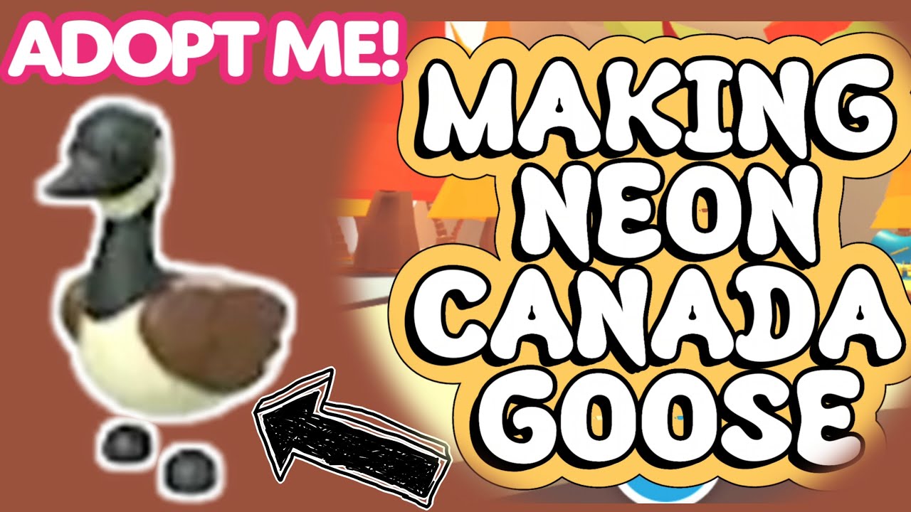 Canada Goose Neon In Adopt Me Farm Pets Update Youtube