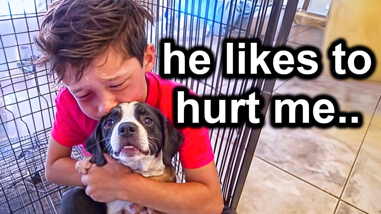 Rescue Of Children By Law Enforcement From Abusive Parents Hadnews