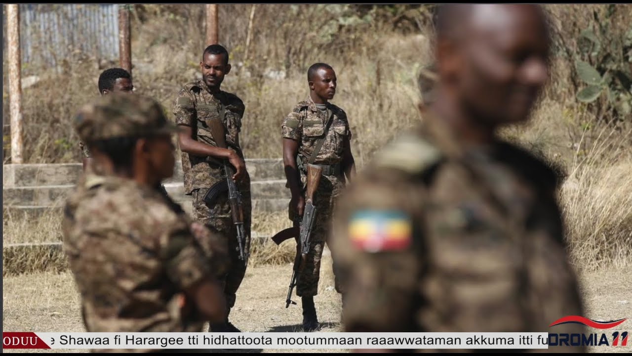 Oromia11 Oduu Gaggabaaboo 9 16 2023 Youtube
