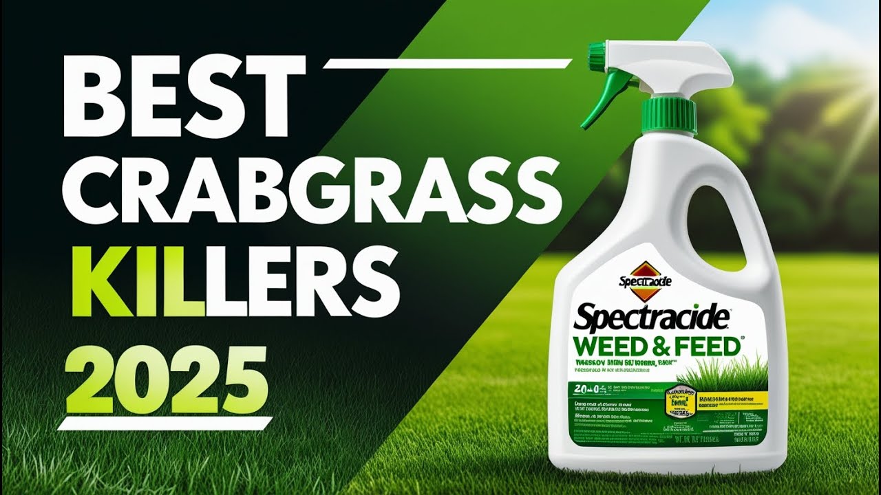 Best Crabgrass Killer In 2025 Top 5 Crabgrass Killers Review Youtube