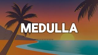 Lil Maina Medulla Lyrics Ft Sondkraft Ft Mr Berry Official Lyrics ...