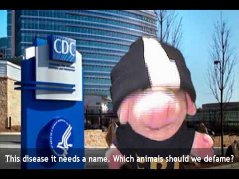 Swine Flu Song Youtube