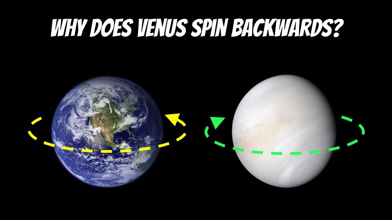 Venus Spin Is An Example Of At Harrison Fitch Blog