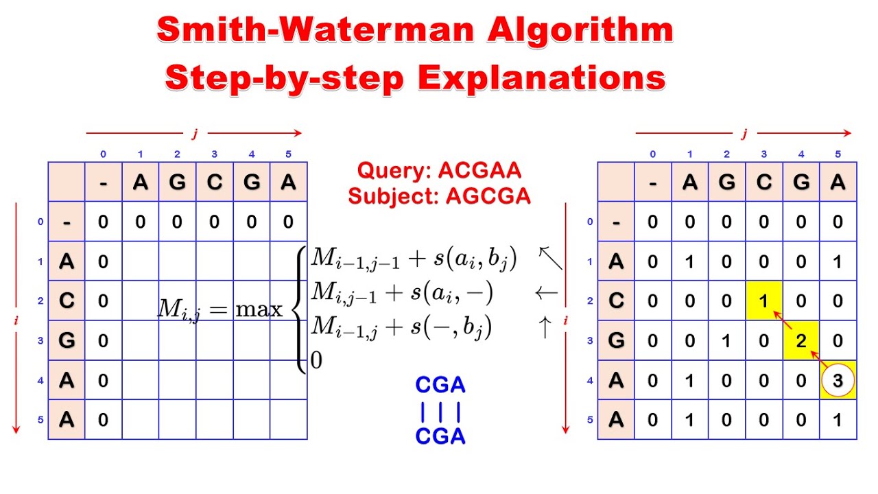 Smith Waterman Algorithm Step By Step Explanations Bioinformatics