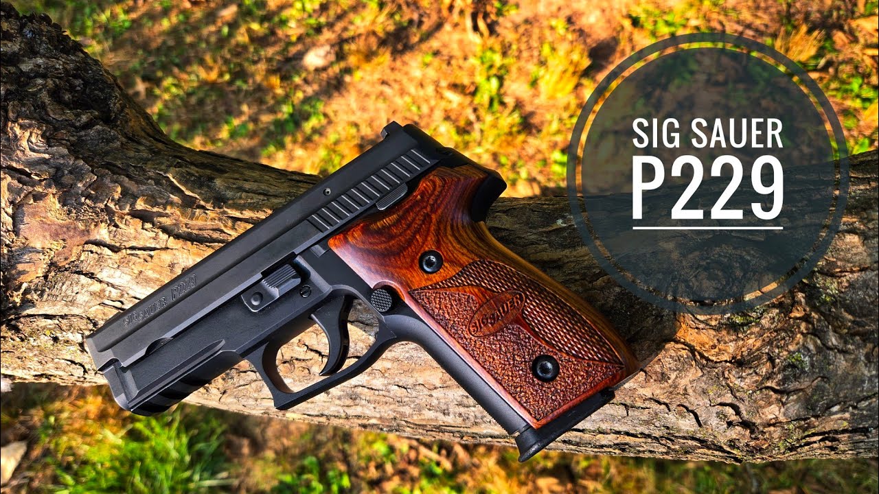 Shooting The Sig Sauer P229 Dak In 40 S W Youtube