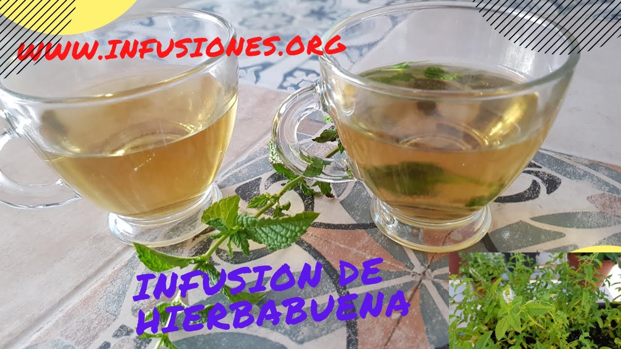 Como Hacer Infusión De Hierbabuena Fresca De Forma Facil Y Rápida Youtube