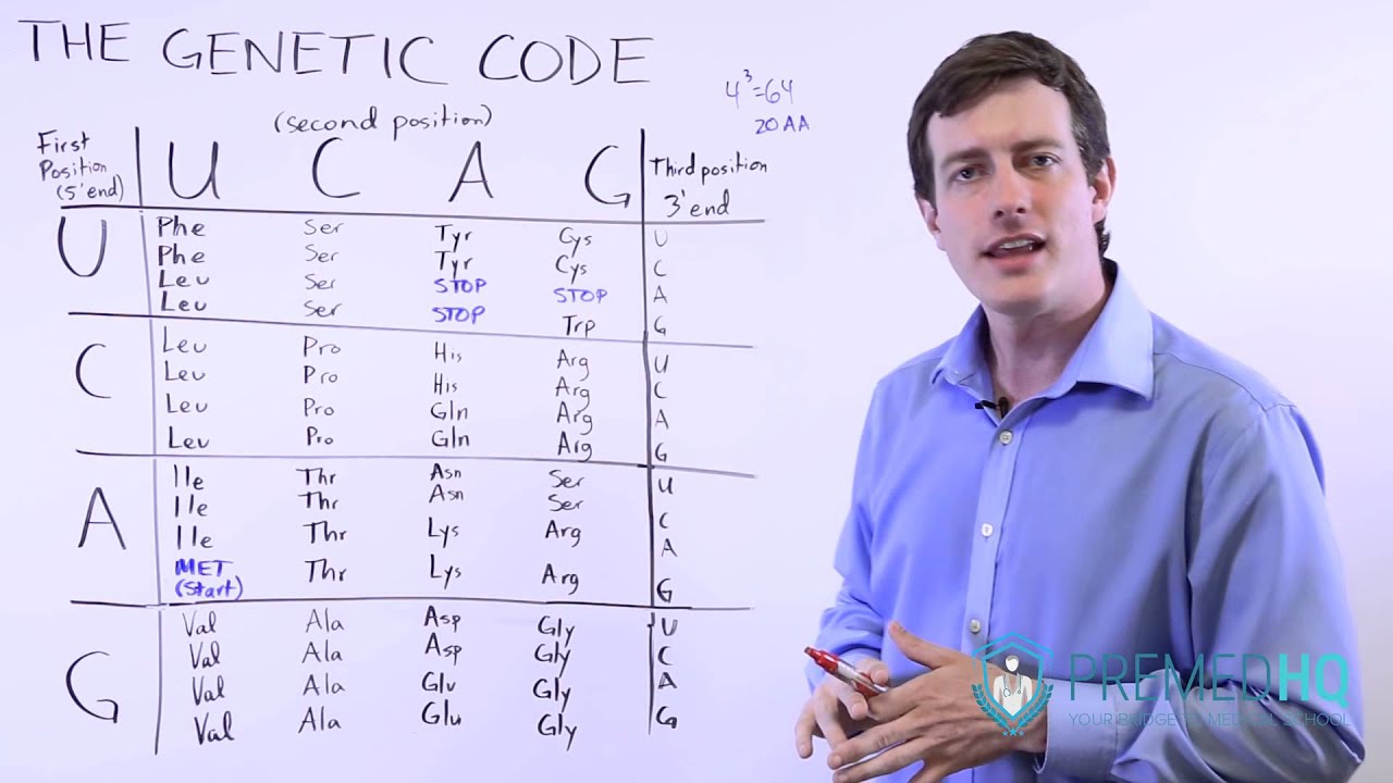 The Genetic Code Youtube