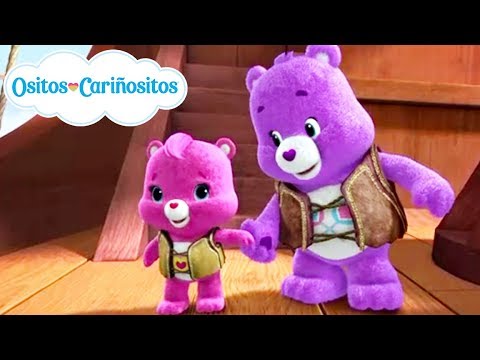 Ositos Cariñositos 1 Hora De Lindos Osos De Dibujos Animados Youtube