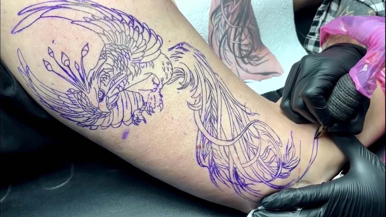 Phoenix Bird Tattoo On Leg Time Lapse Part 1 Youtube