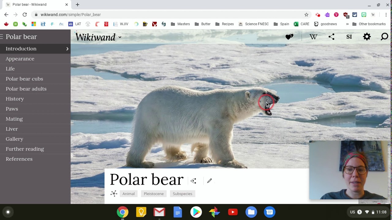 Simple Wikipedia Extension Wikiwand Youtube