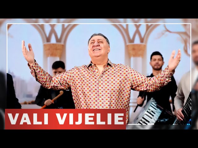 Vali Vijelie 1 ORA SUPER COLAJ HITURI MANELE 2026 - Cele Mai Ascultate ...