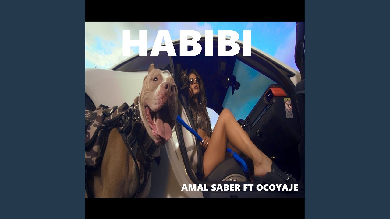 Habibi Youtube Music