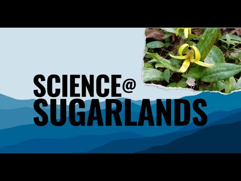 Gmt20220916 164529 Recording 1920x1080 Youtube