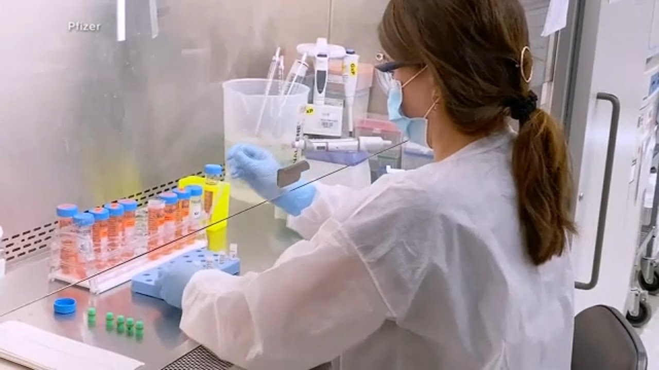 What Are The Symptoms Of Hantavirus Treatment Risks Youtube