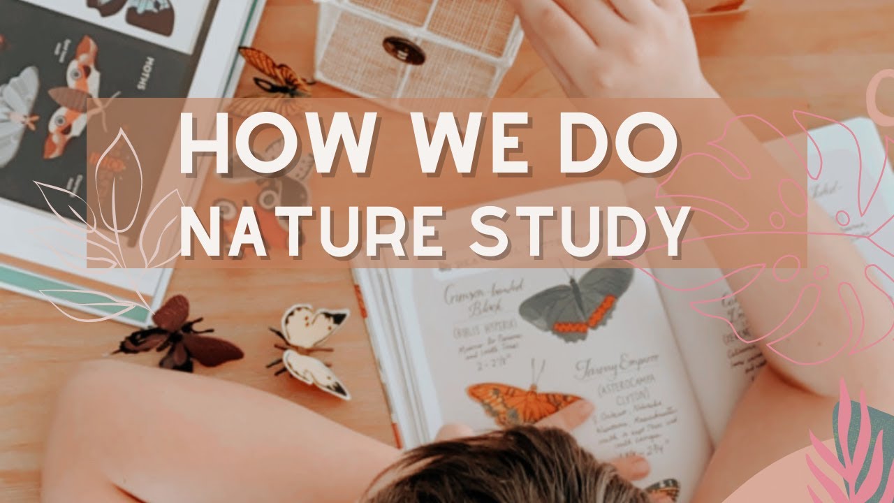 Homeschool Nature Study Charlotte Mason Nature Study Youtube