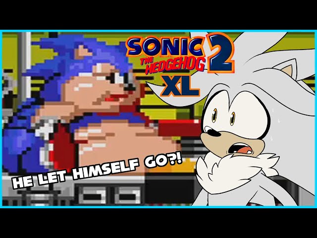 Fat Silver The Hedgehog