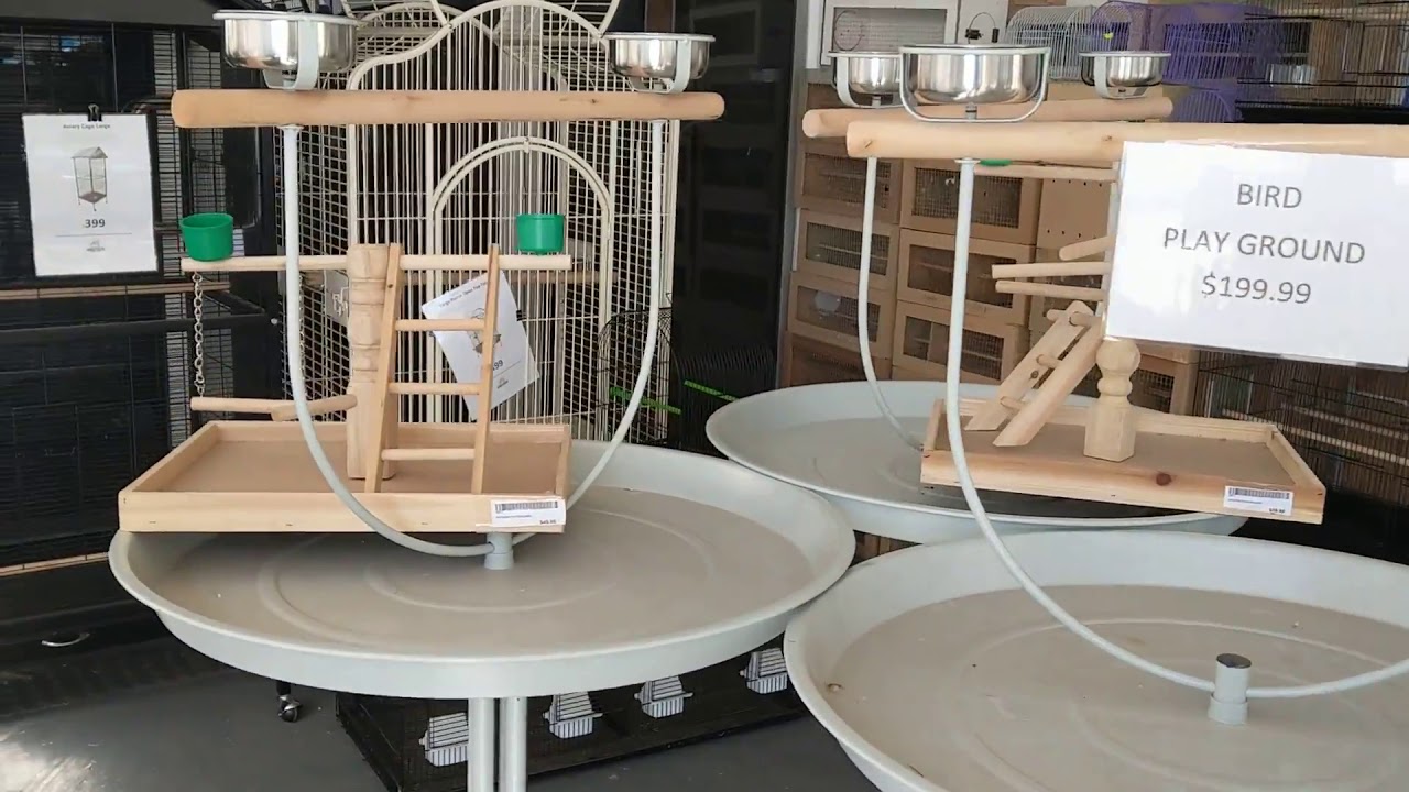 Hahns Macaw Melbourne Bird Cage And Accessories Youtube