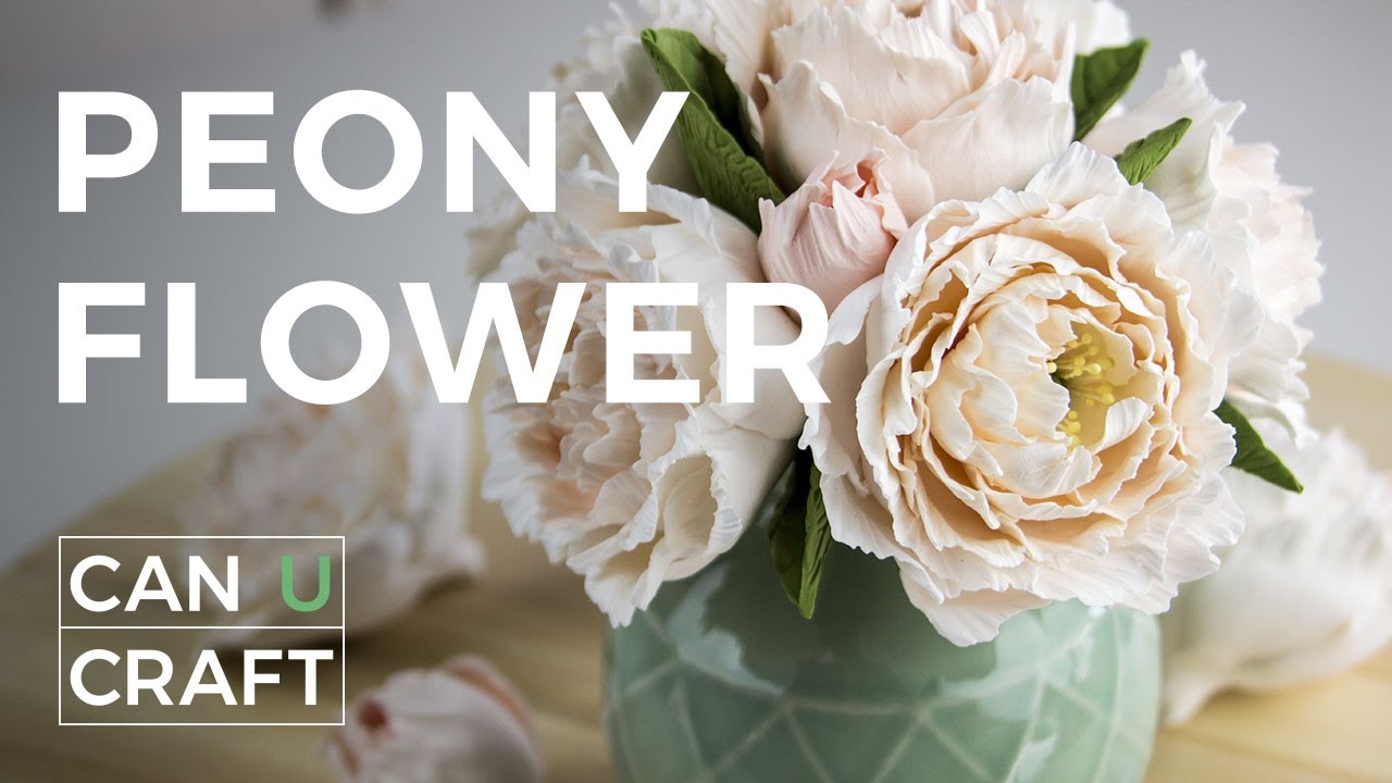 Peony Youtube