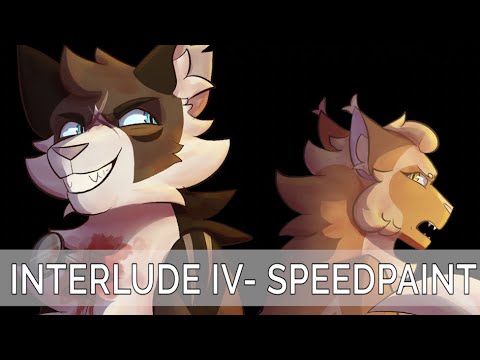 Interlude Iv Showtime Hawkfrost And Mothwing 200k Views