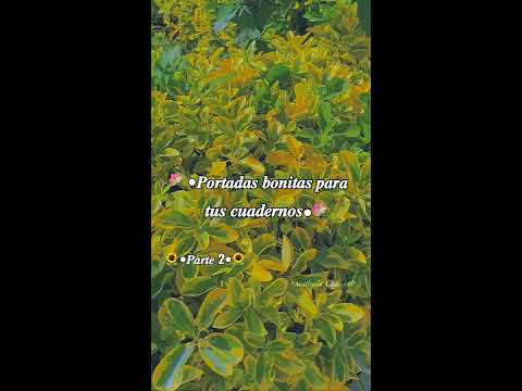 рџ ђвђўportadas Bonitas Para Tus Cuadernosвђўрџ ђ Shorts Viral Youtube