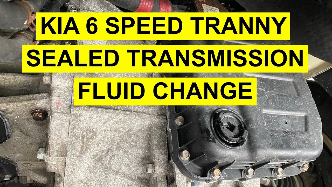 How To Change Transmission Fluid Kia Optima At Joe Gable Blog