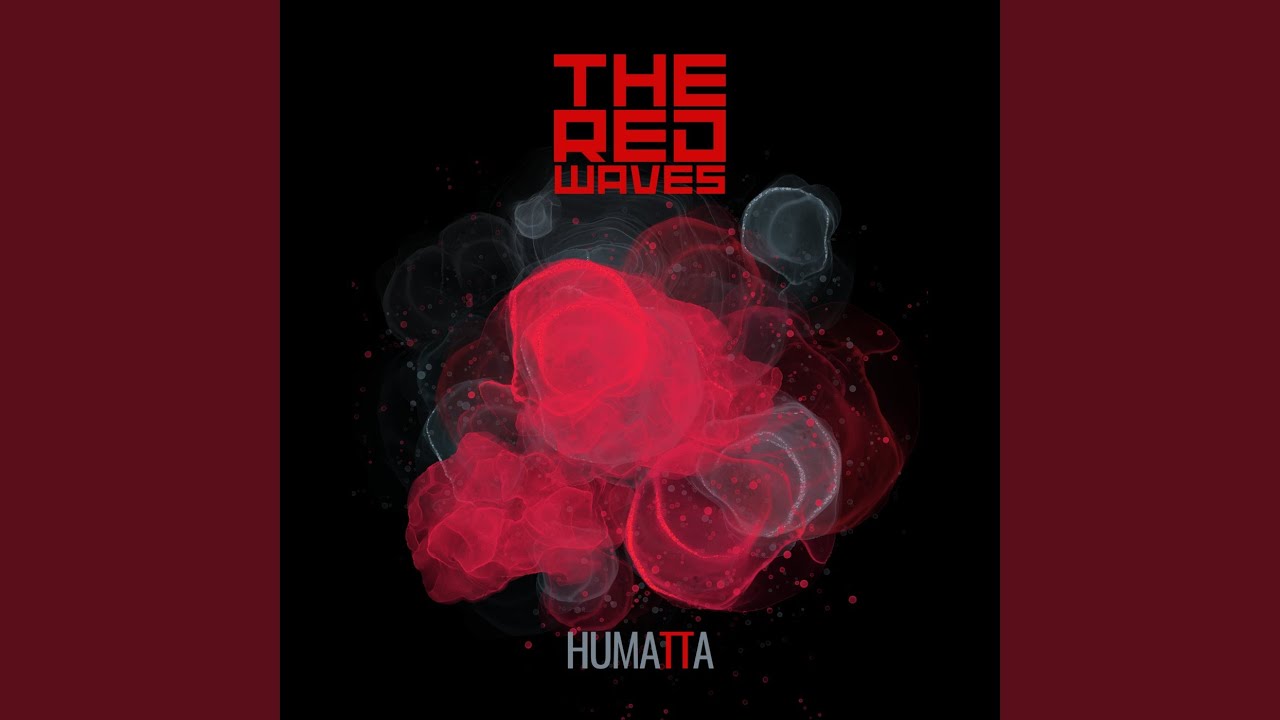Salamandra Youtube Music