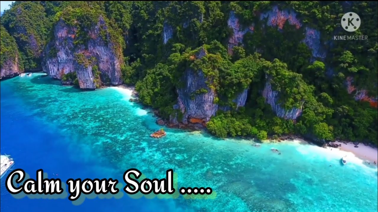 Nature Soundscape Relaxing Music With Nature Best Piano Music For