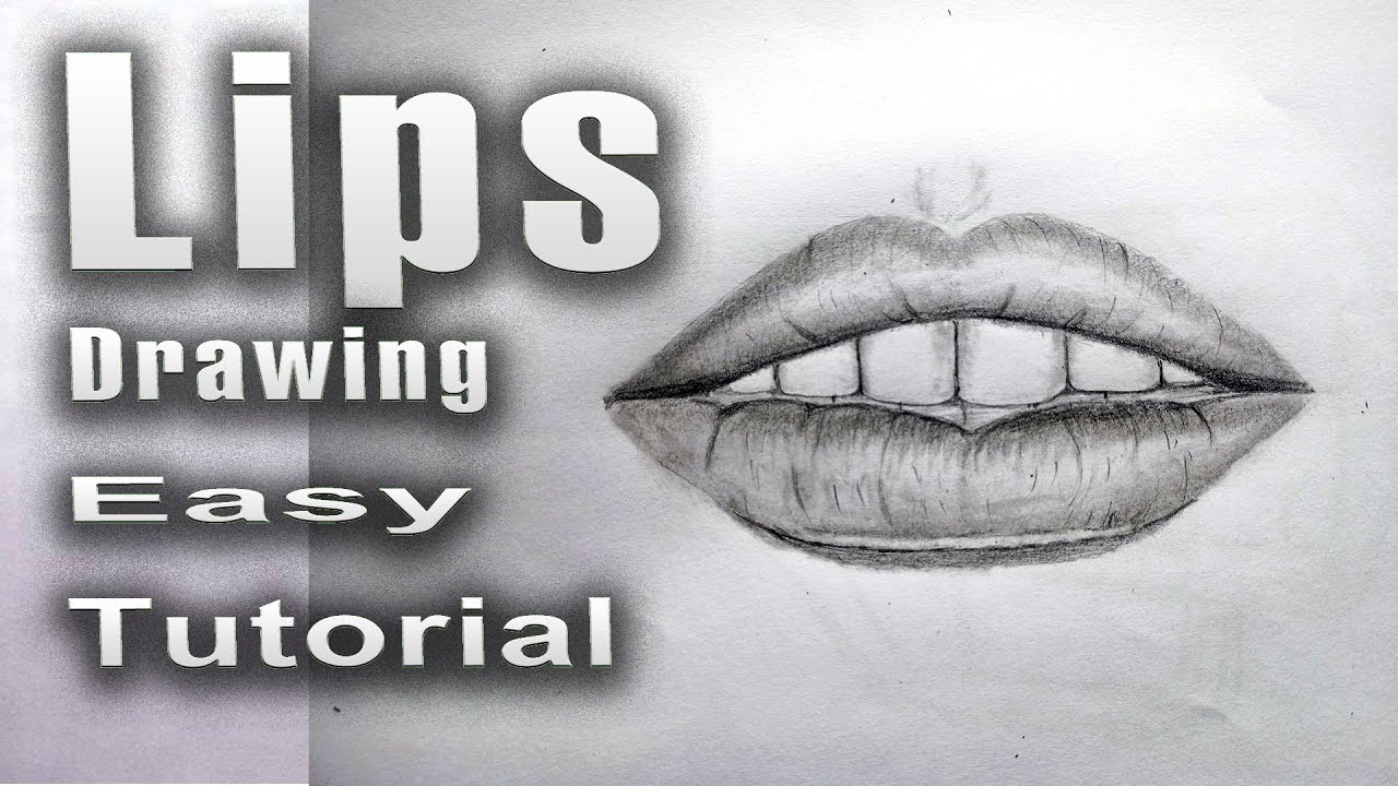 Drawing Realistic Lips For Beginners Tutorial Youtube