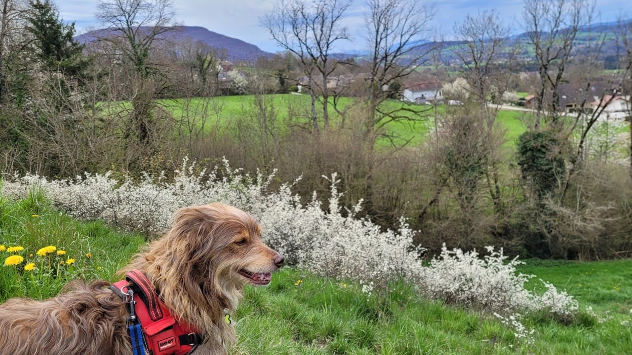 Beautiful Village Landscape France Peaceful Countryside Youtube