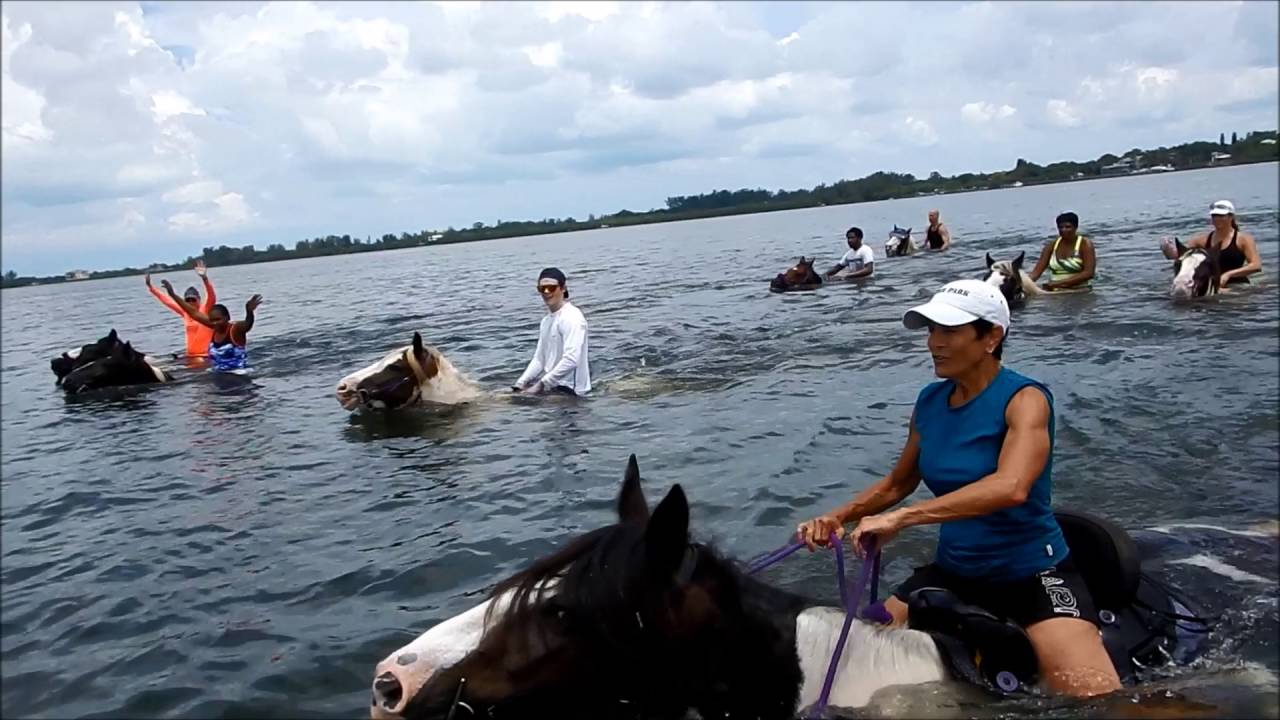 Cponies Beach Horseback Rides Bradenton Florida Youtube