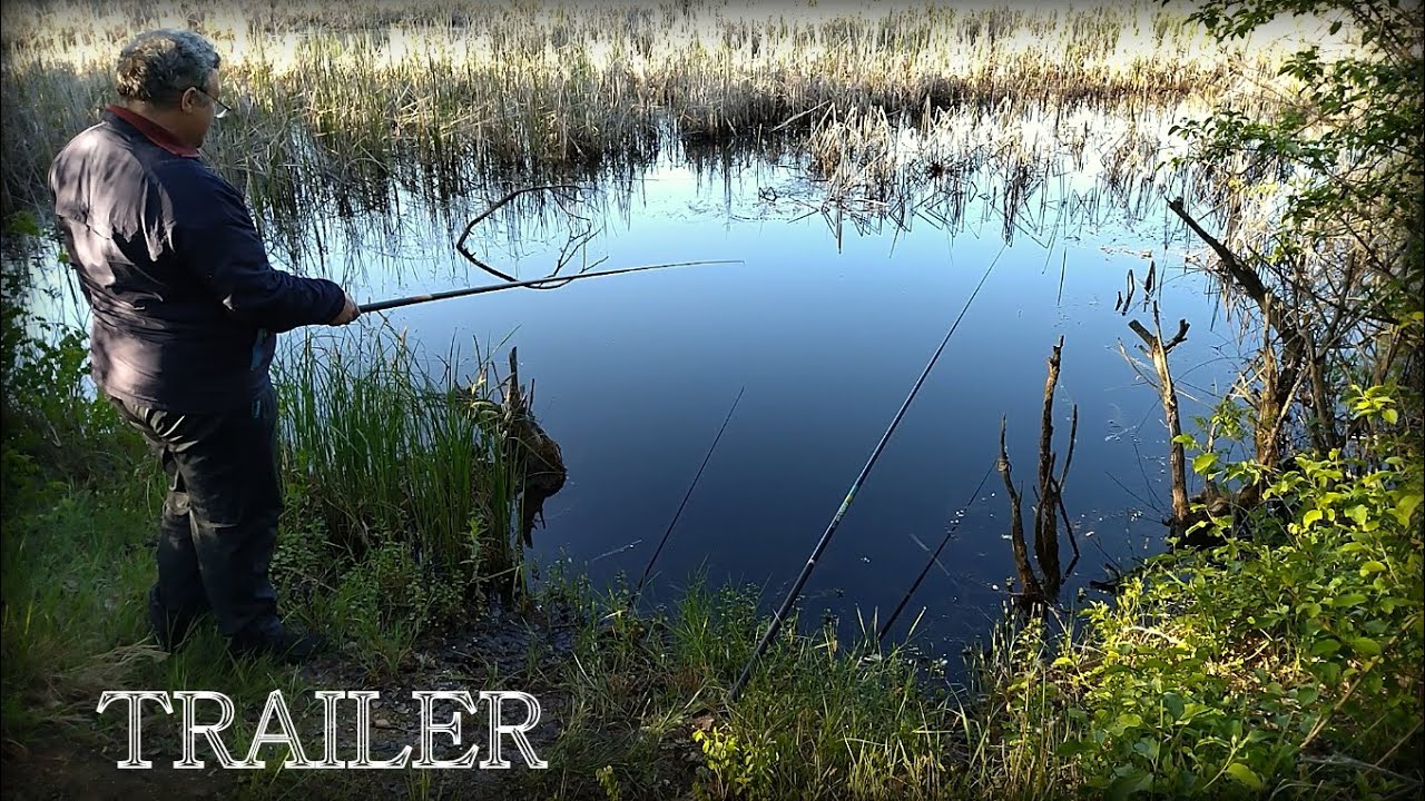 Fishing Trailer Youtube