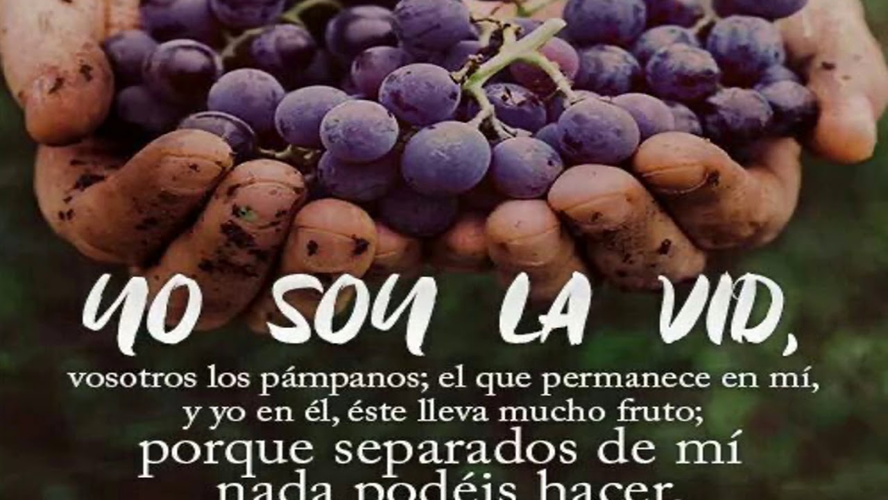 Jesús La Vid Verdadera Lección 8b Youtube