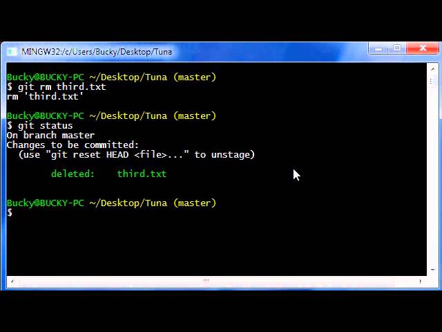 Upload Files In Github Using Git Bash Terminal Creating Git Bash In